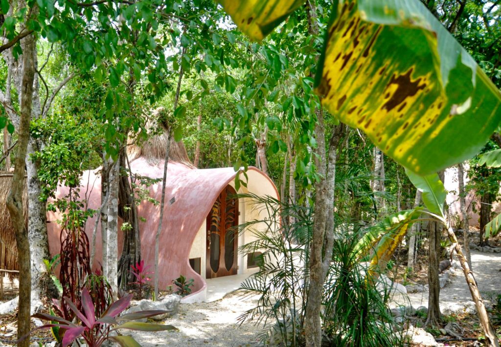 The Essence: Reviews, Prices, Photos & 2026 Schedule