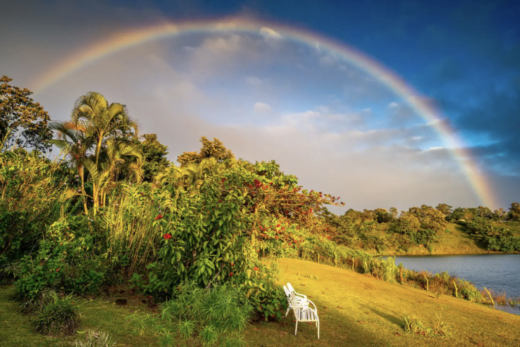5 day psilocybin retreat in Nuevo Arenal, Costa Rica