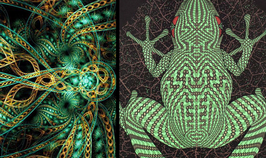 Kambo Medicine with Davi De Paula, 1 day, Illinois