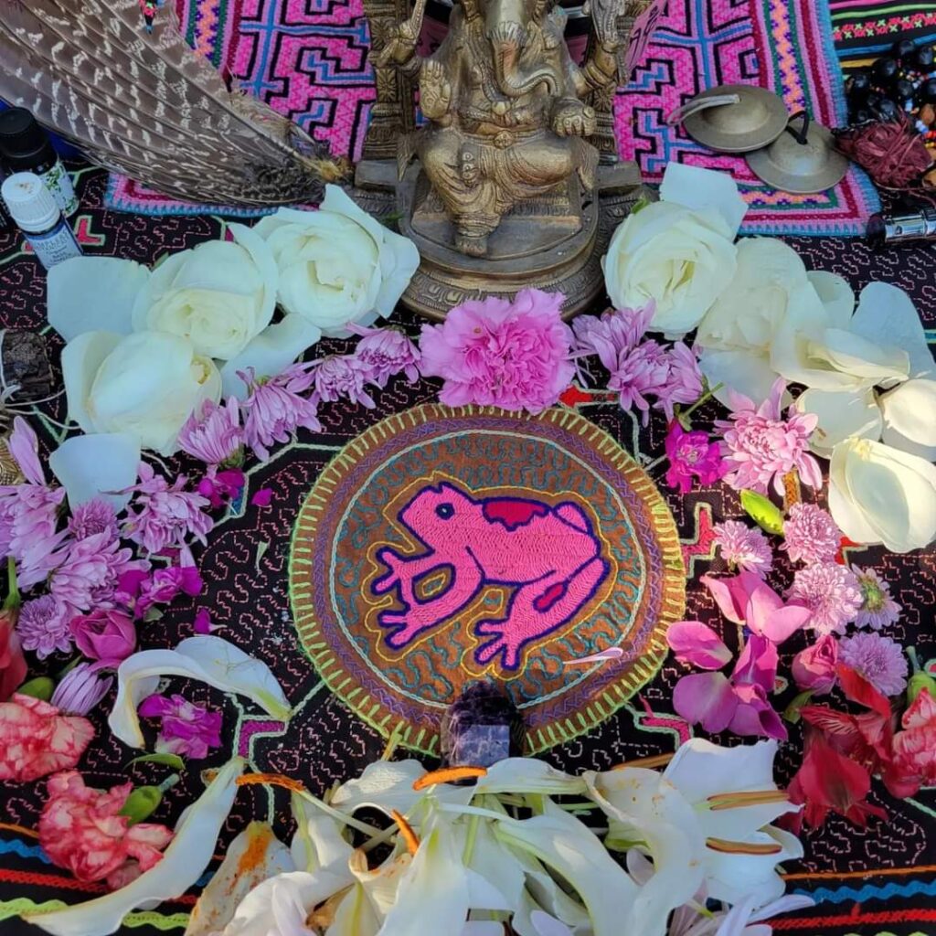 Psychedelic Therapy / Group Sacred Ceremony / Bay Area