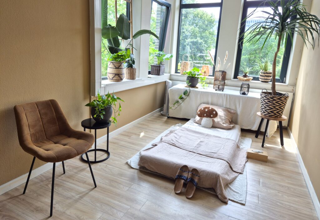 1 day psilocybin retreat in Amsterdam, Netherlands