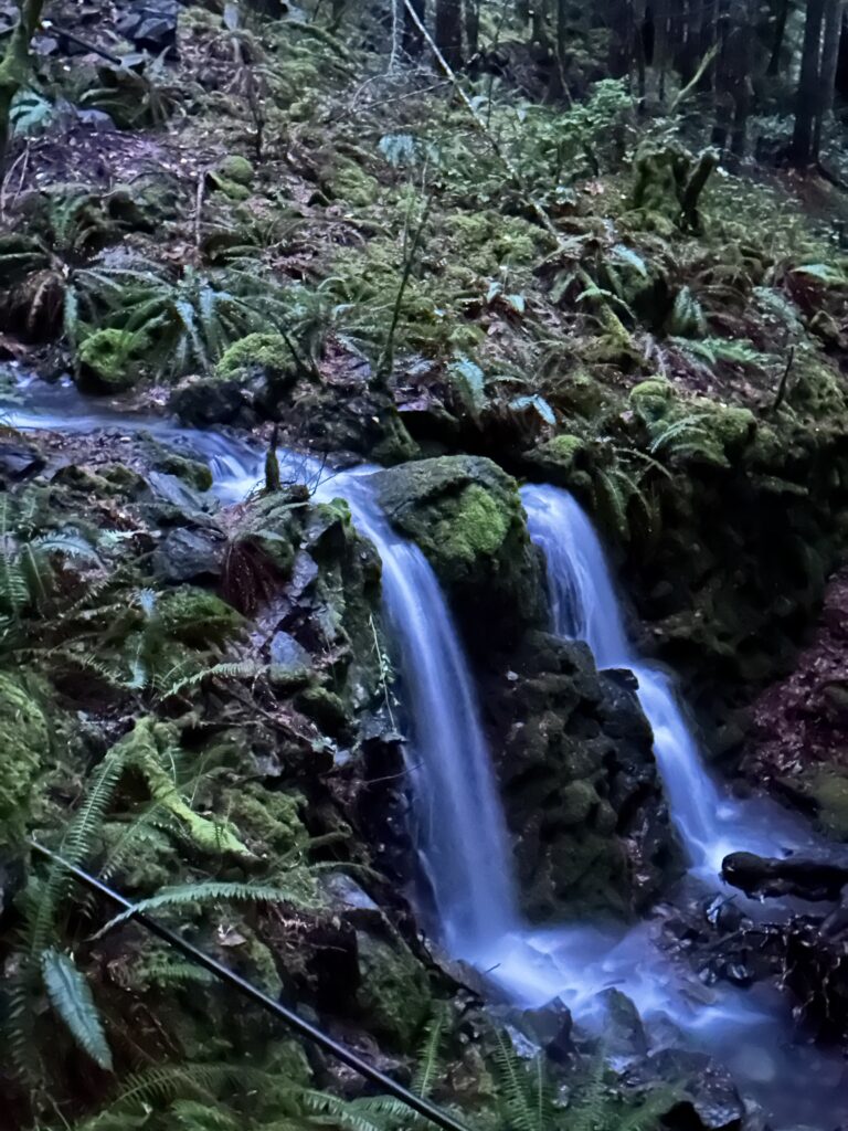 5 day health & wellness retreat in Victoria, British Columbia