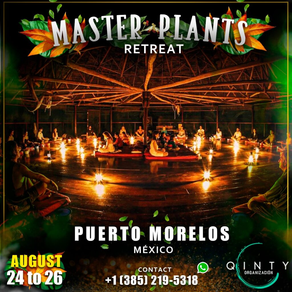 Private Soul Connection Retreat, 1 day, Sedona, Arizona