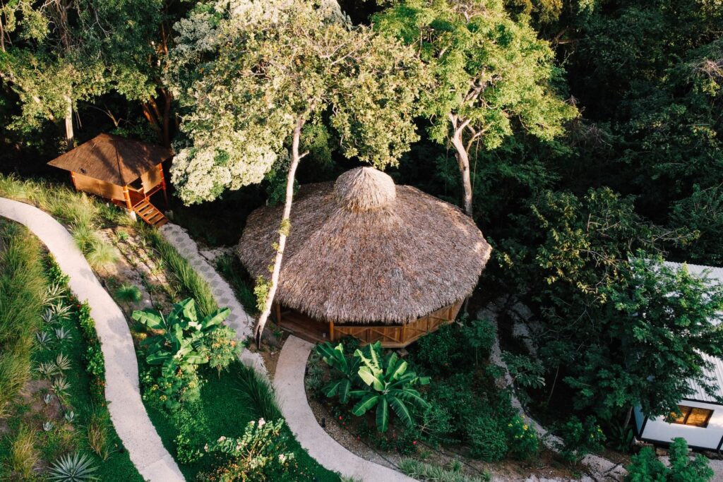 8 day ayahuasca retreat in Provincia de Guanacaste, Costa Rica