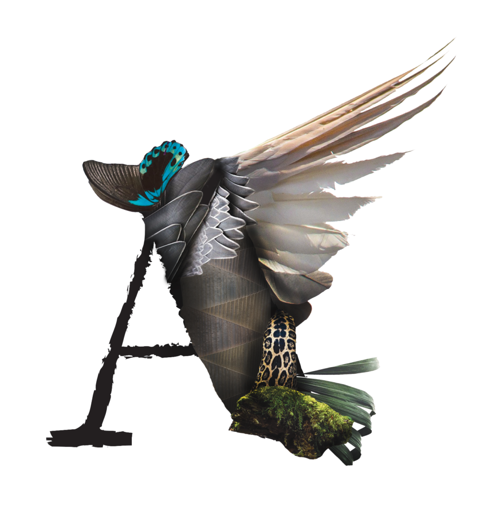 Aniwa: Reviews, Prices, Photos & 2025 Schedule