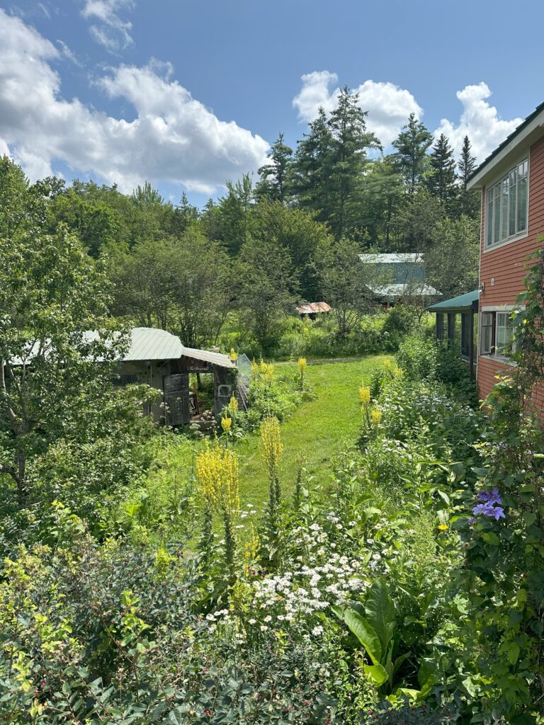 The Hummingbird Center NH: Reviews, Prices, Photos & 2026 Schedule