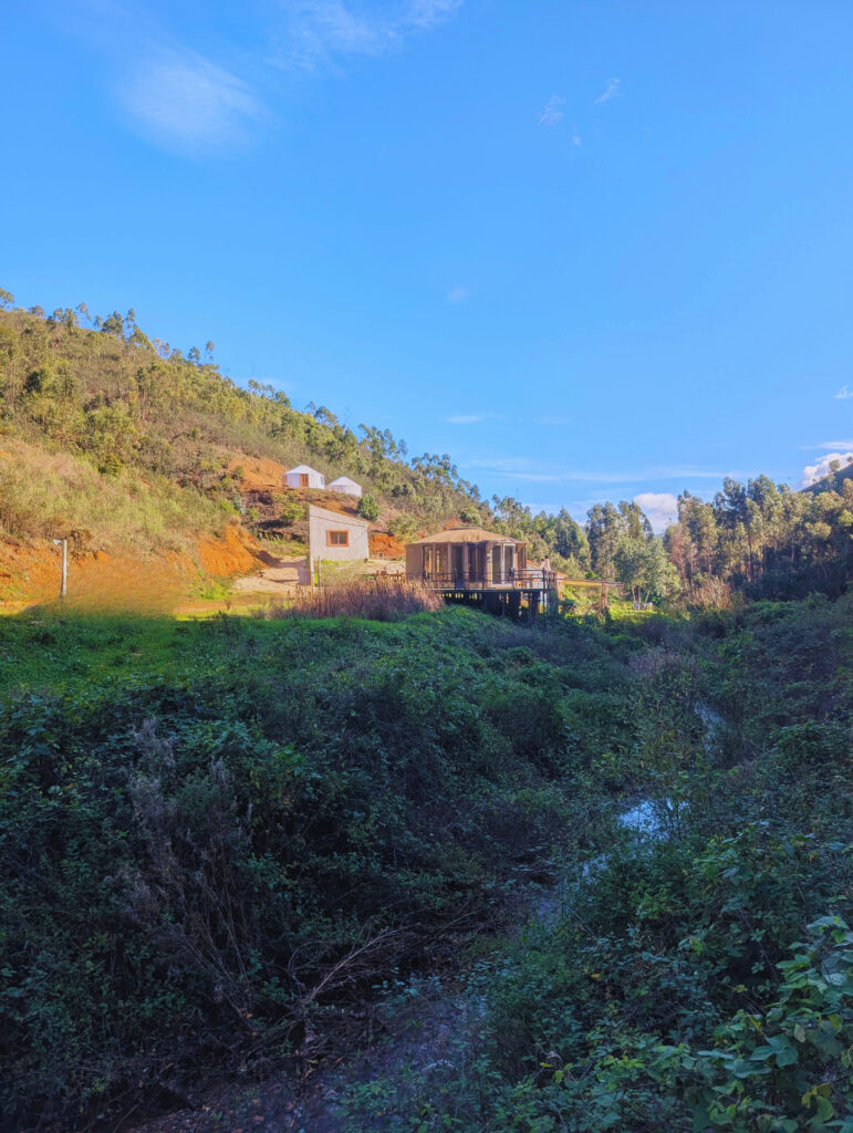 The Huachuma Project: Reviews, Prices, Photos & 2026 Schedule