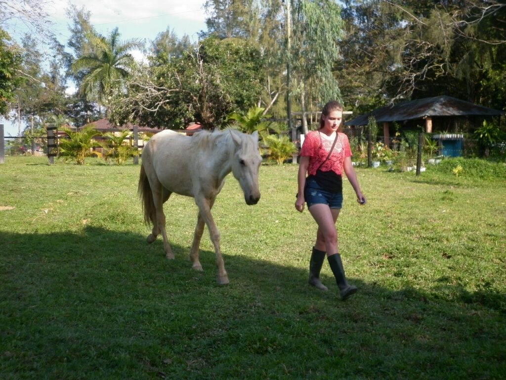 Eden Ranch: Reviews, Prices, Photos & 2026 Schedule