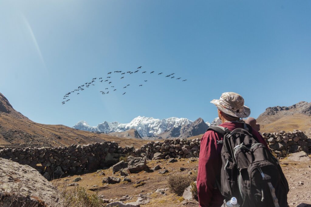 9 day san pedro huachuma retreat in Cusco, Peru, Jul 2026
