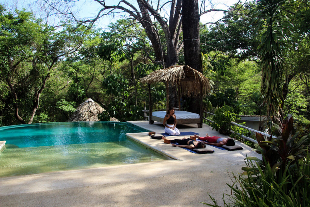 Elemental Body- elemental wisdom & embodied anatomy: Reviews, Prices ...